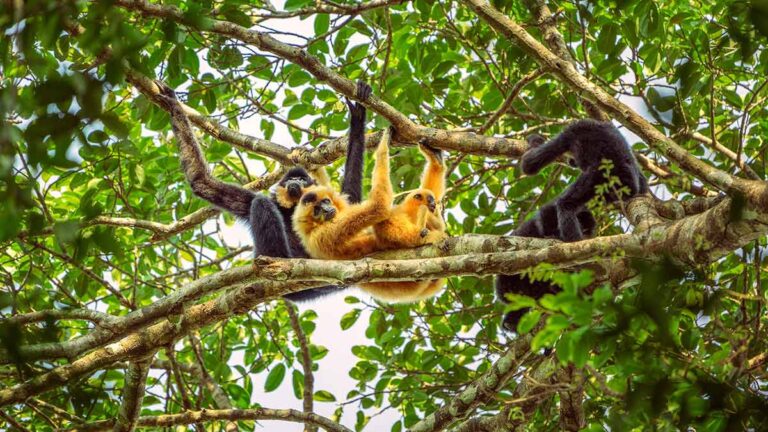 Overtourism Solutions that Embrace Regenerative Travel and Reduce the ...