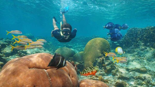 How Travel Companies Can Disperse Visitors to Combat Overtourism
