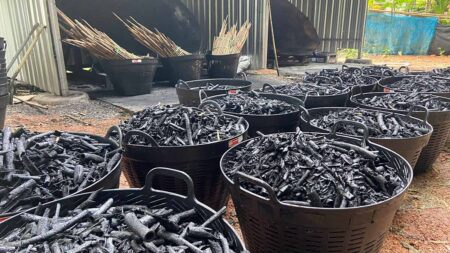 What is Biochar?