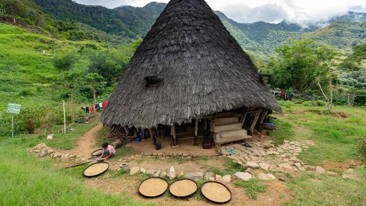 Top Ecotourism Activities: Types, Examples & Benefits