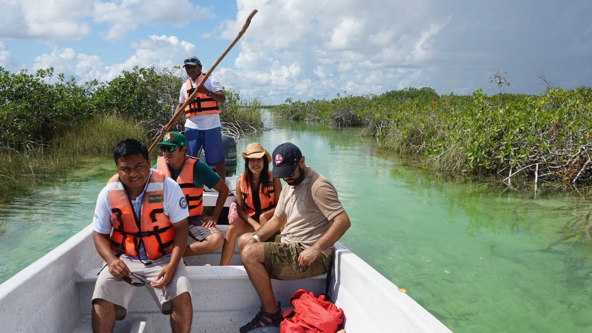 Ecotourism Examples: Practices Around the World