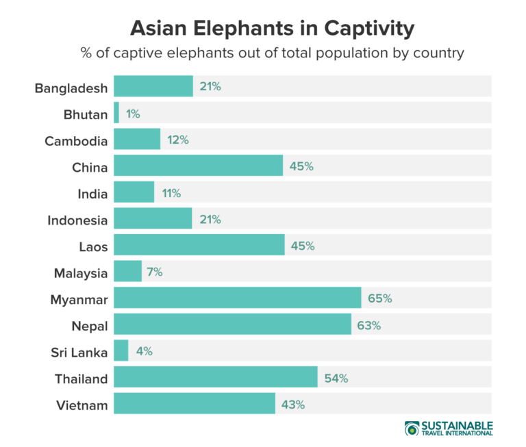 Why Are Asian Elephants Endangered?