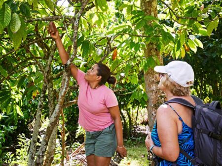 Ecotourism
