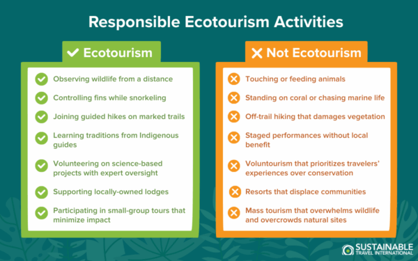 Top Ecotourism Activities: Types, Examples & Benefits