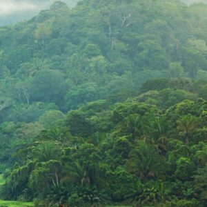 Panama - Sustainable Travel International